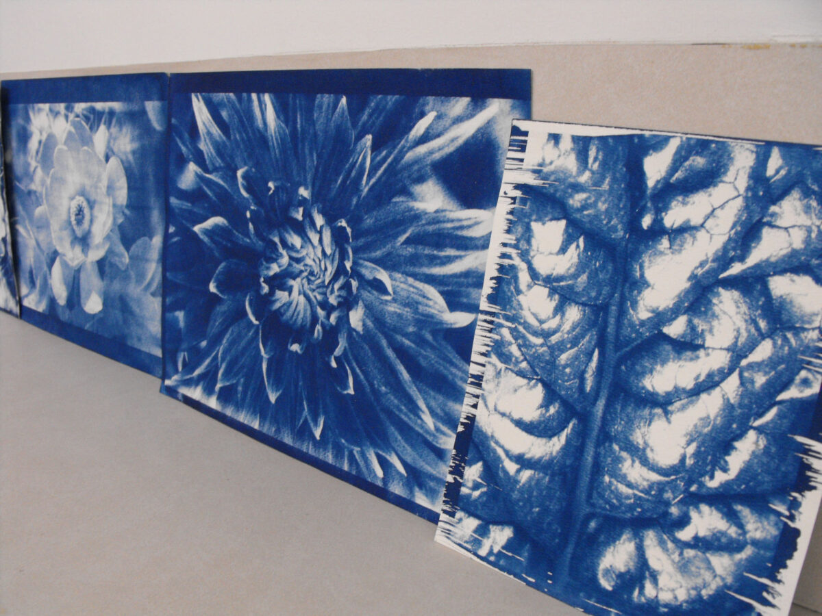 Cyanotype: Students happy to be getting the blues | News, Sports, Jobs ...